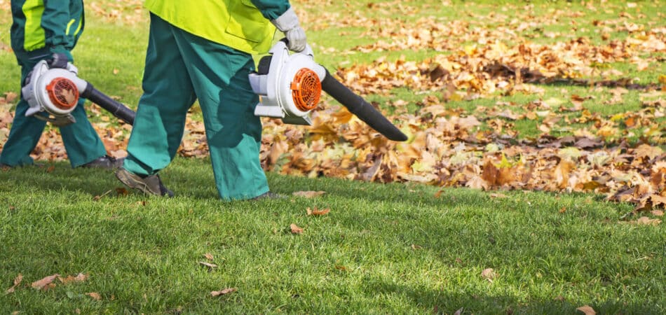 Lawn Cleanup Service in New Orleans | Big Easy Grass Cutting